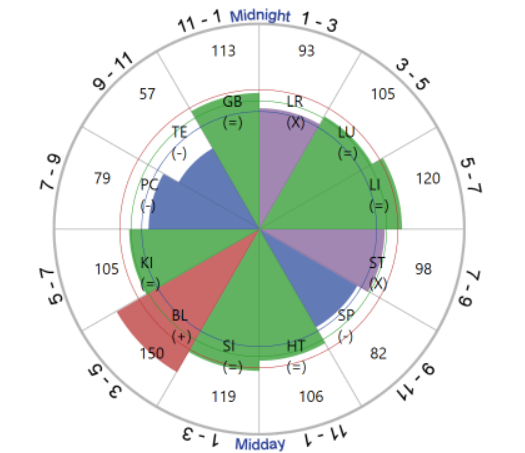What is the AcuGraph? – Acu Essence
